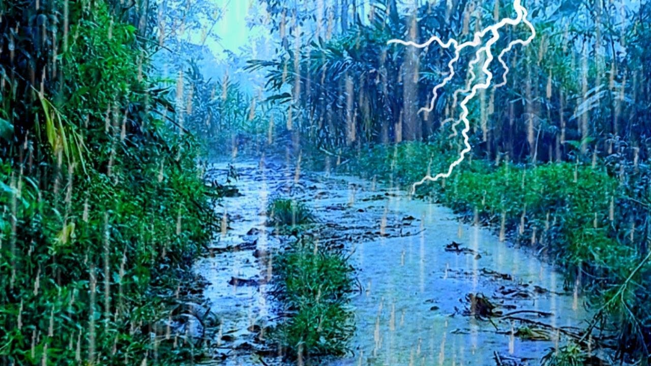 Beautiful Rain Sounds For Sleeping, Relaxing, Studying, Meditation ...