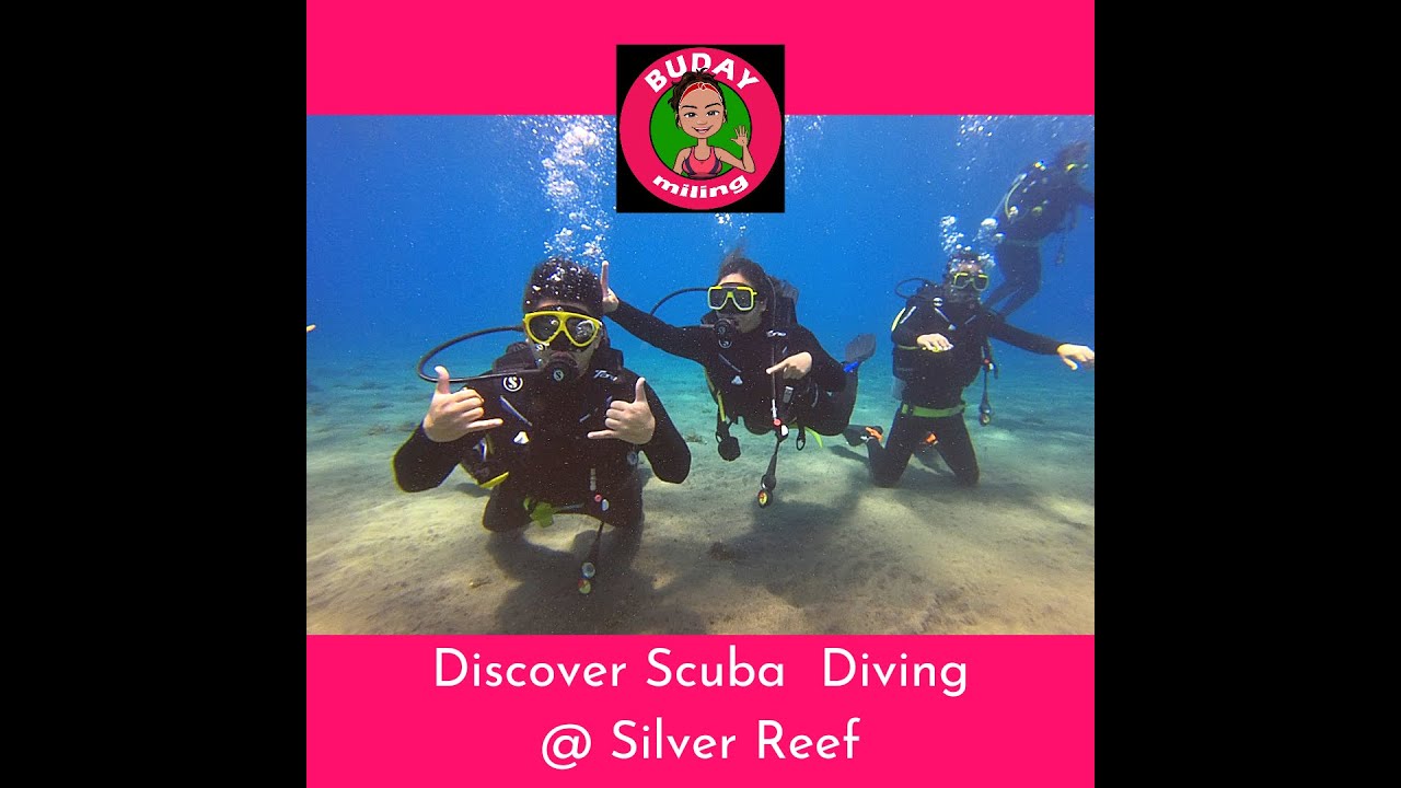 Island Living Logs: Discover Scuba Diving and 'Pool Party' at Silver ...