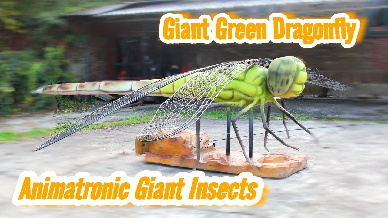 4m Animatronic Flying Giant Dragonfly for Garden Decoration - YouTube