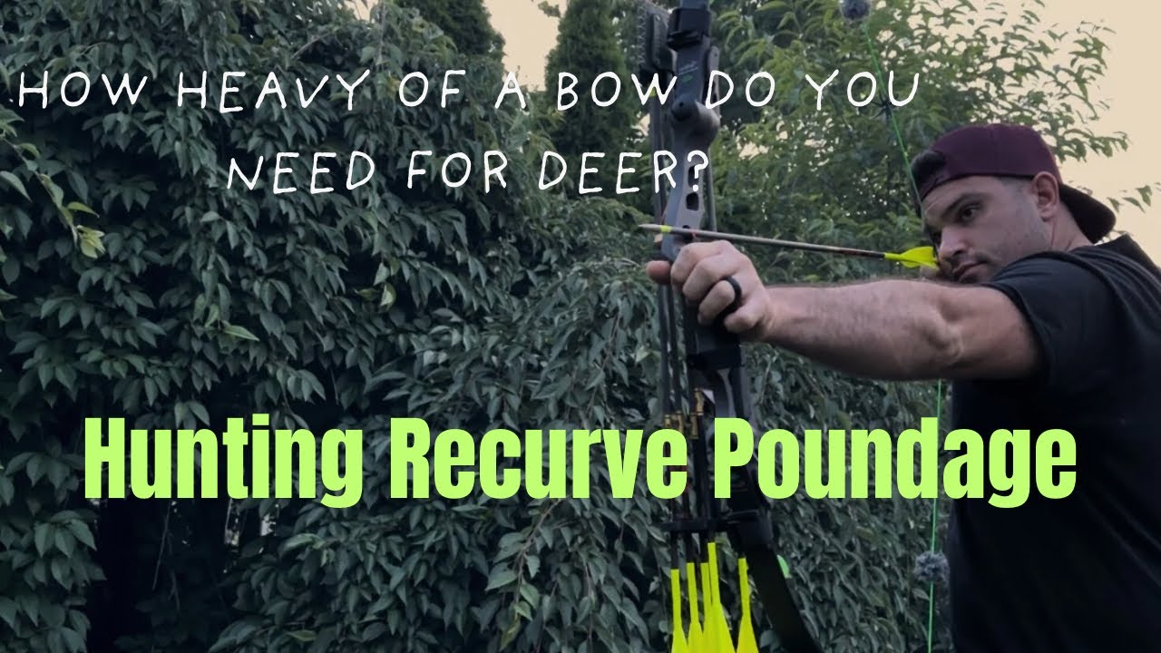 Traditional Bow Draw Weight - How Much Draw Weight Do You Really Need ...