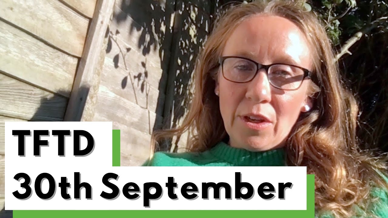 TFTD - Friday 30th September 2022 - YouTube