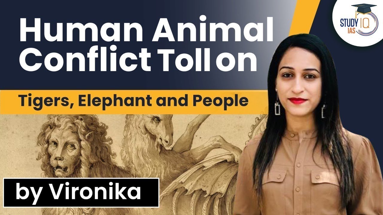 Human-Animal conflict: Huge casualties recorded of tigers, elephants ...