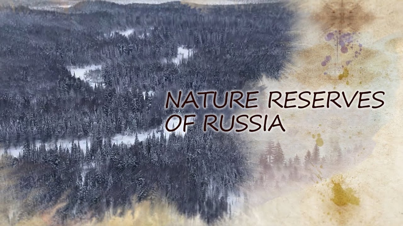 Secrets of the Yugansky Nature Reserve. Nature Reserves of Russia - YouTube