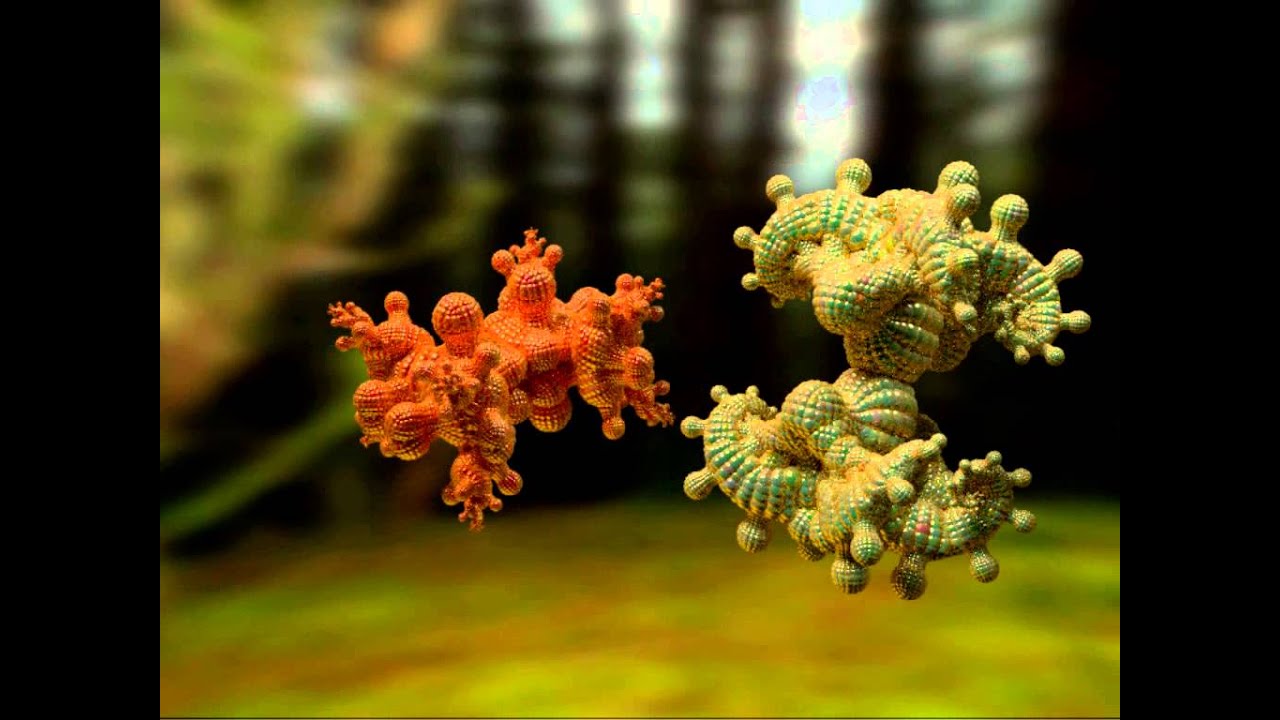 dancing fractaloids - YouTube