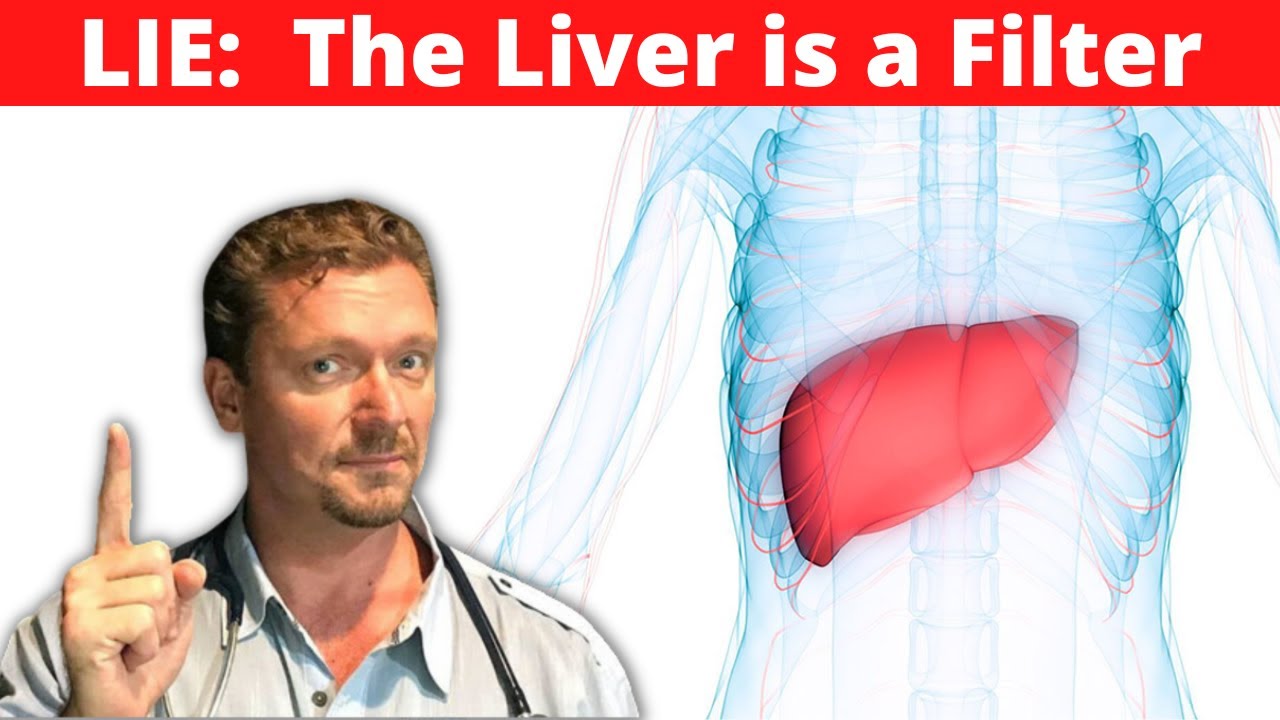 The Liver is NOT a Filter (Liver is a Safe Superfood) - YouTube