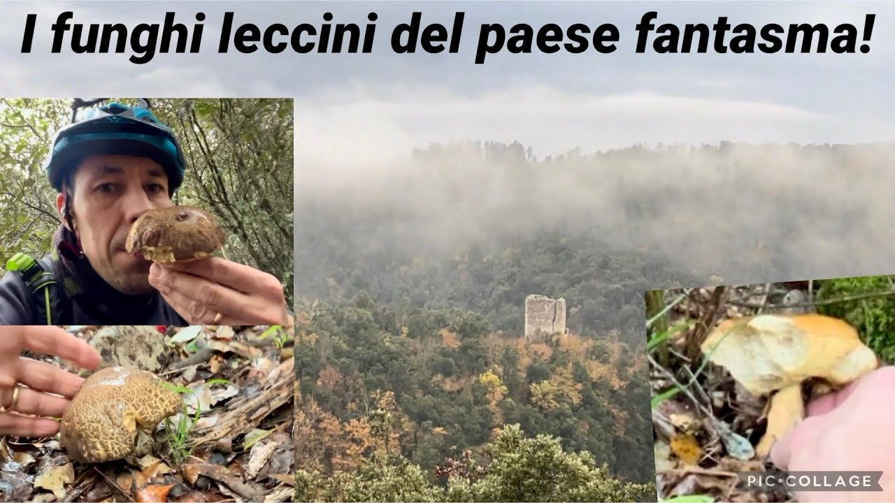 Funghi leccini intorno al paese fantasma abbandonato da 500 anni! - YouTube