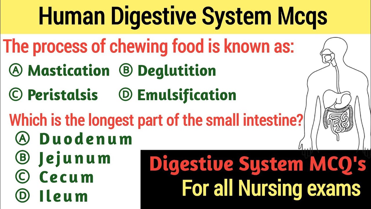 Human Digestive System MCQ || Digestive System Mcq for all nursing exam ...