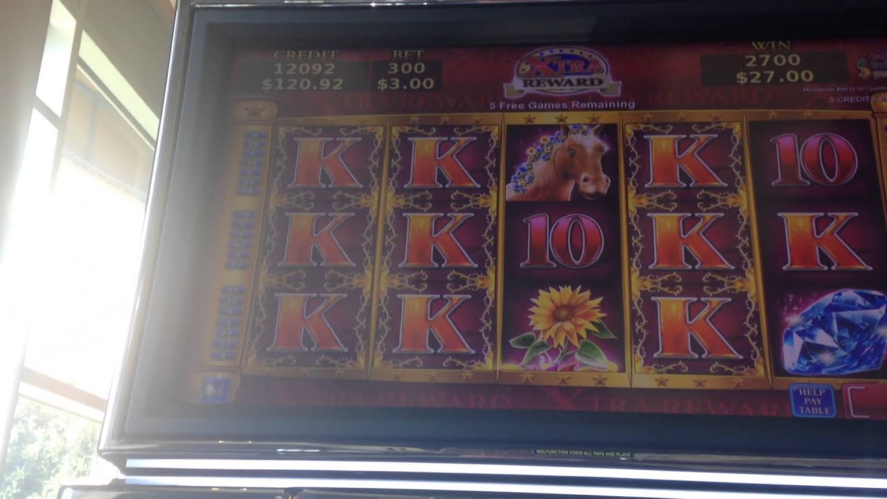 Solstice Celibration Slot Machine Bonus Big Win - YouTube