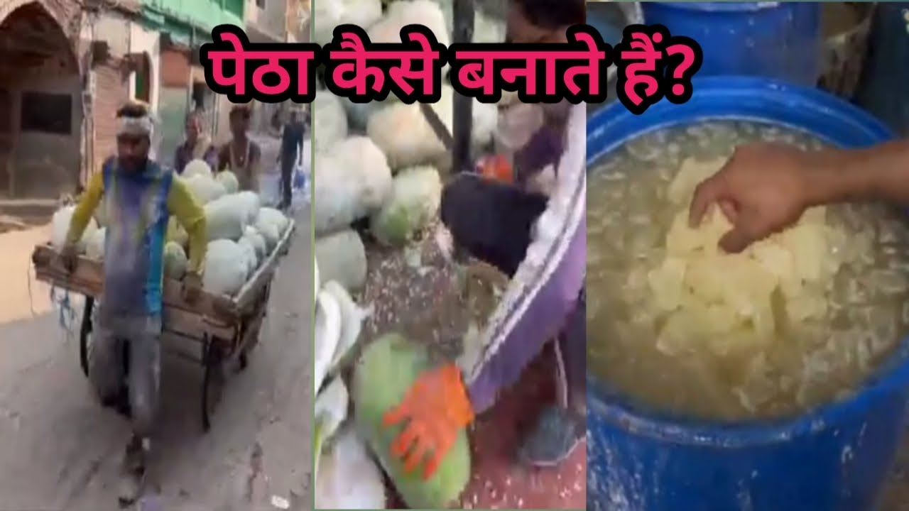 पेठा कैसे बनता है | Petha Kaise Banaya Jata Hai | Petha Making Video ...
