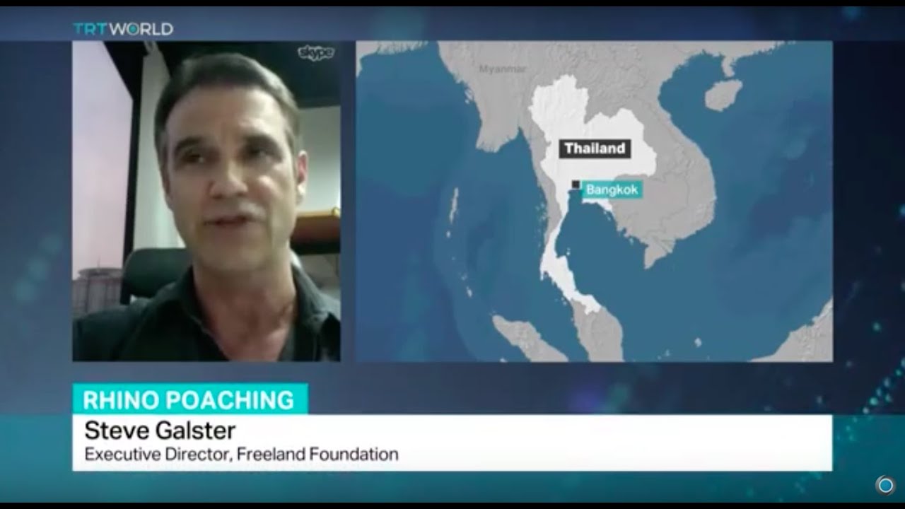 Interview with Steve Galster from Freeland Foundations on rhino ...
