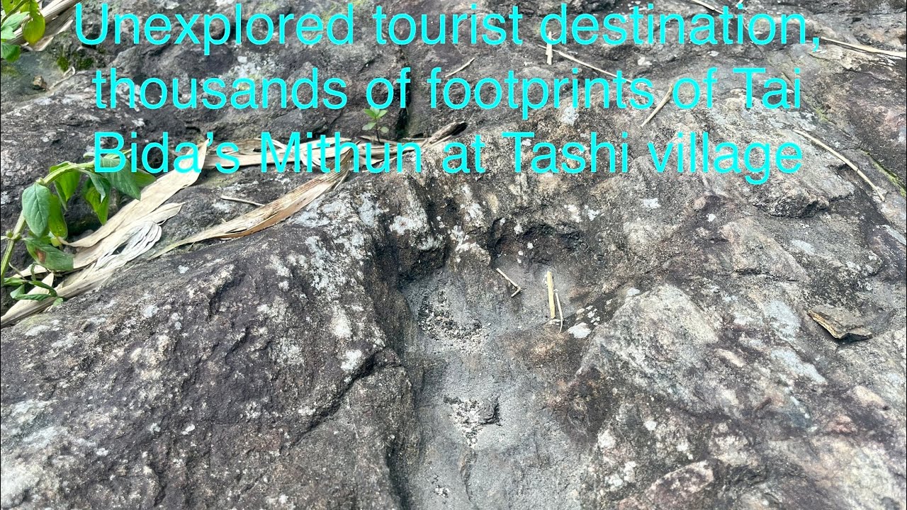 Unexplored tourist destination ||thousands of footprints of Tai Bida’s ...