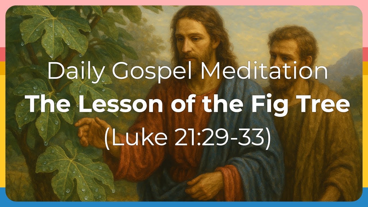 Daily Gospel Meditation - The Lesson of the Fig Tree (Luke 21:29-33 ...