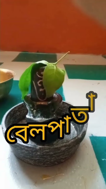 হর হর শিব শম্ভু 🙏শিব মহাদেব 🙏 নীল ষষ্টীতে শিব পূজো#shortsvedio # ...