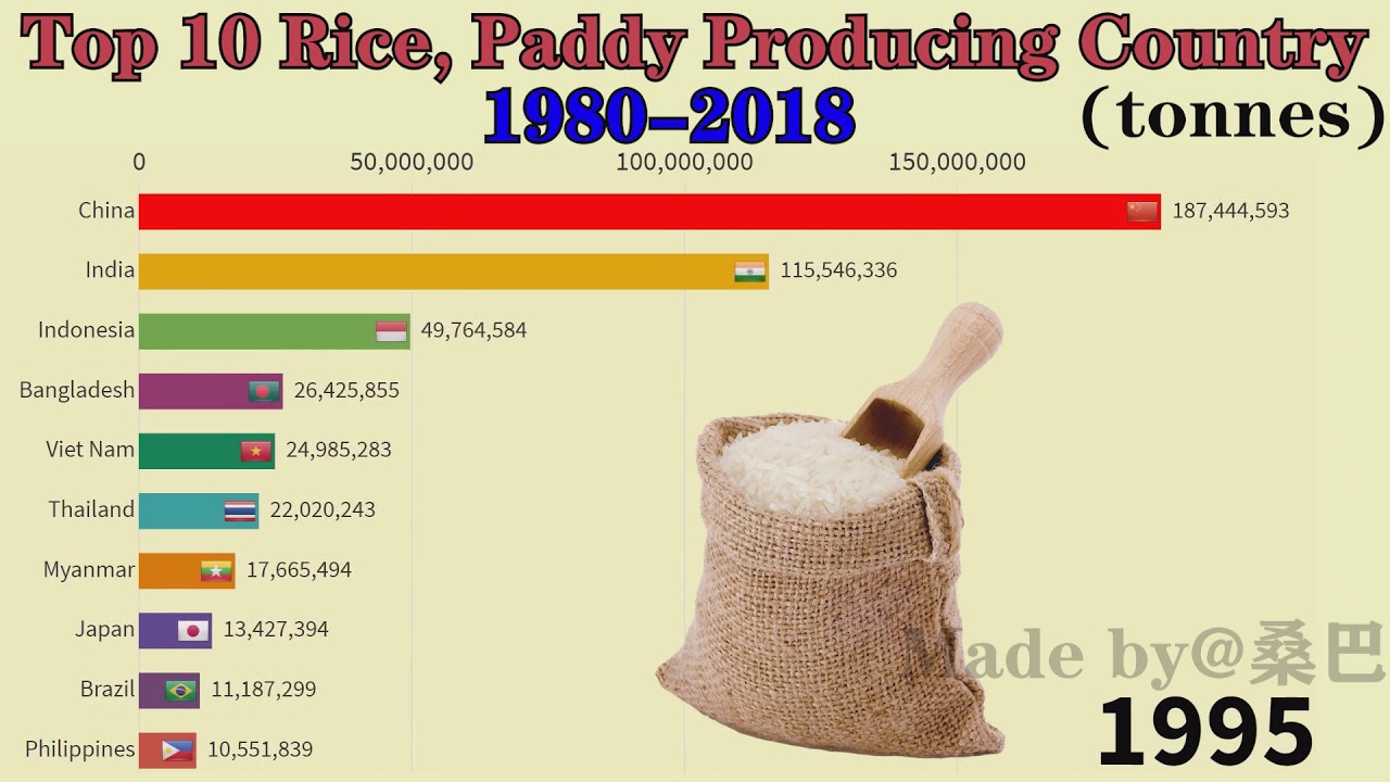Top 10 Rice, Paddy Producing Country (1980-2018) - YouTube