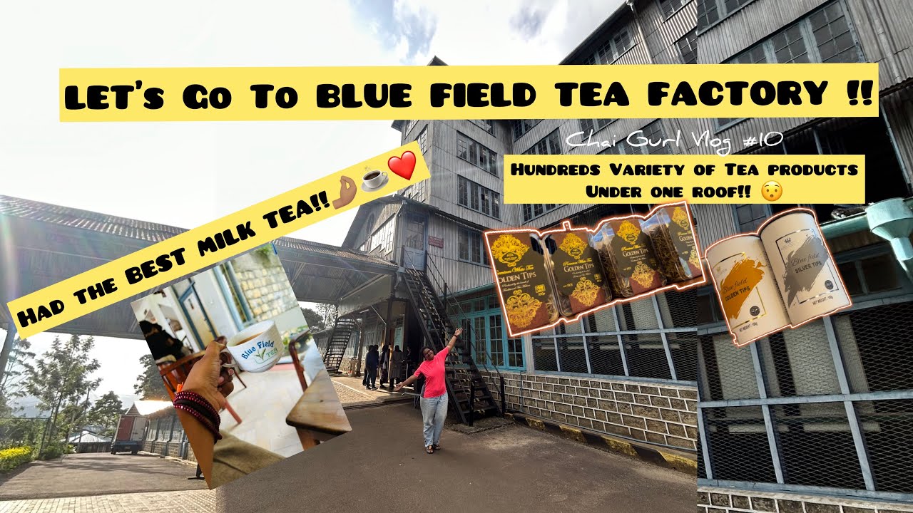 Let’s Go to BLUE FIELD TEA FACTORY 🏭🌱☕️ #Tea #teafactory #SriLankan Tea ...