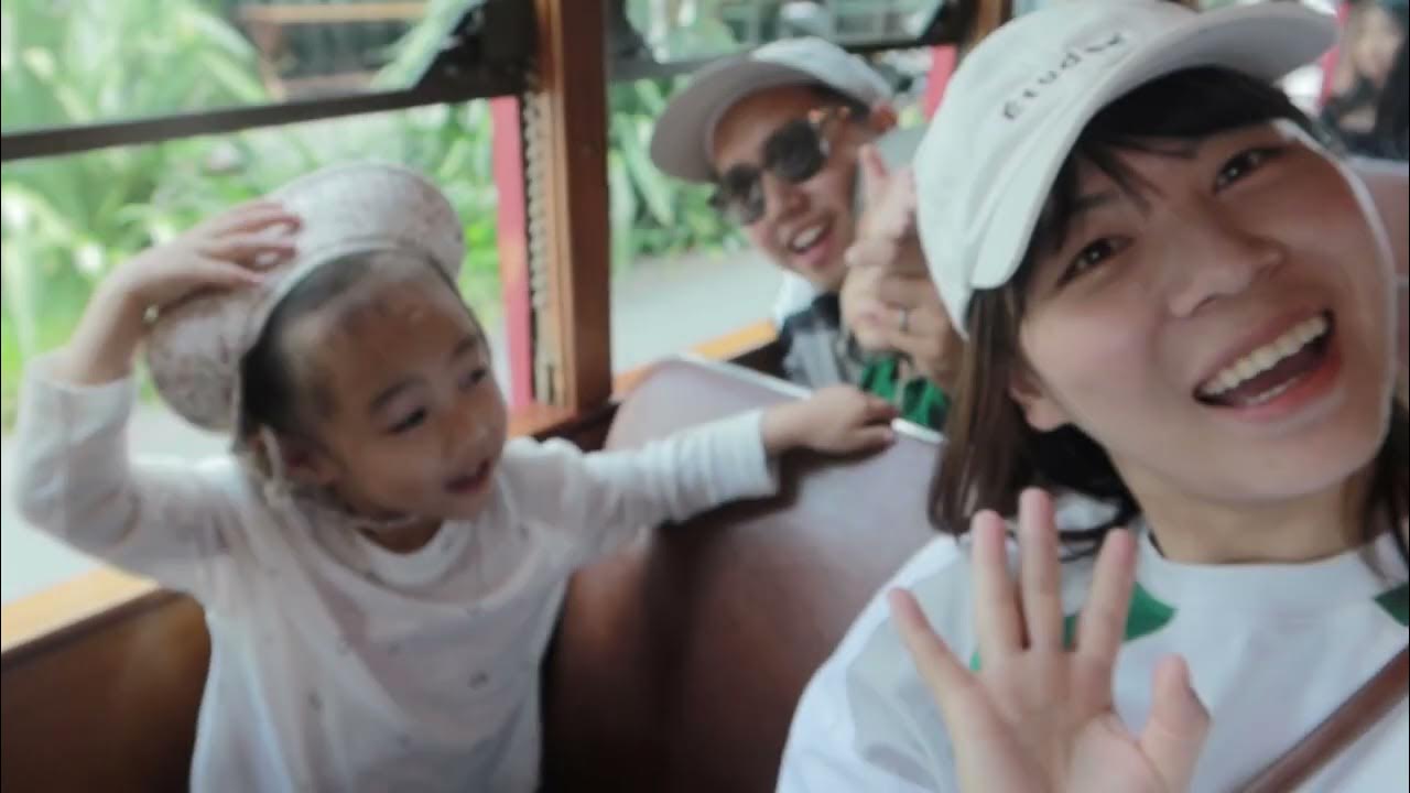 30+移居新西兰Vlog｜奥克兰citywalk 超级chill - YouTube