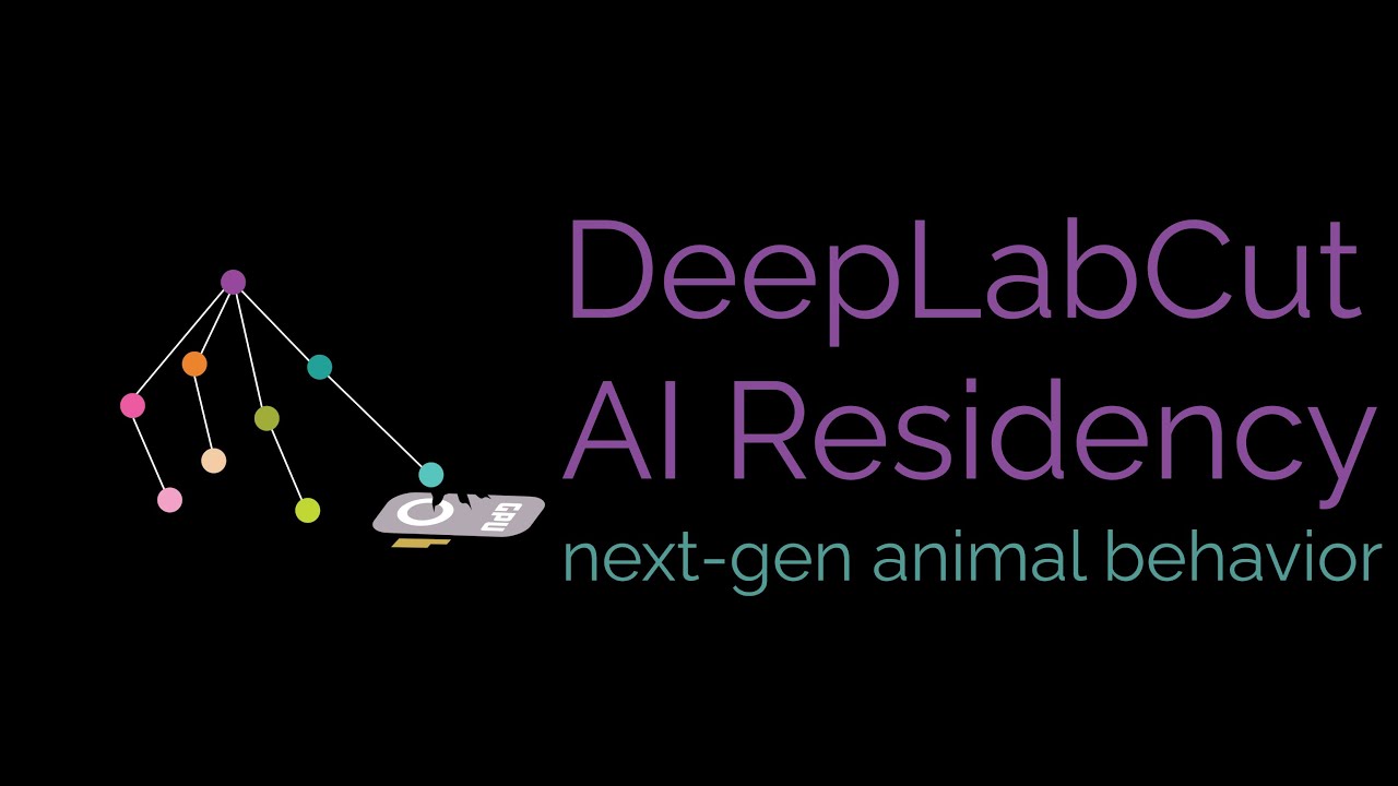 2022 DeepLabCut AI Residency 2022! 🔥🎓 - YouTube