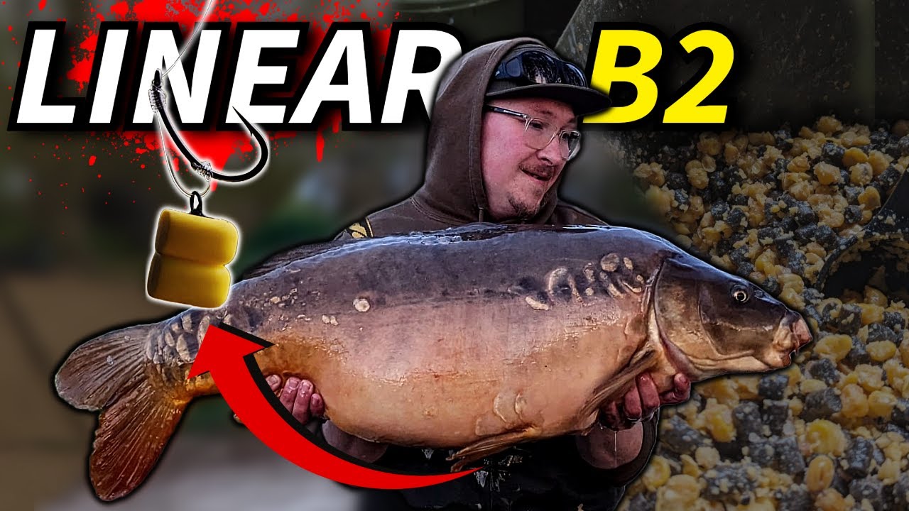 AMAZING 48H on linear b2 !!! CARP FISHING - YouTube
