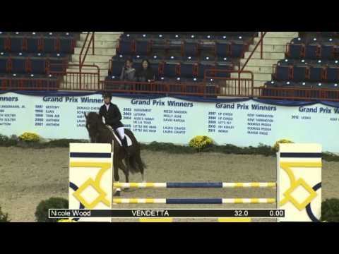 1086 VENDETTA Nicole Wood, Class 227 NAL Adult Jumper Finals