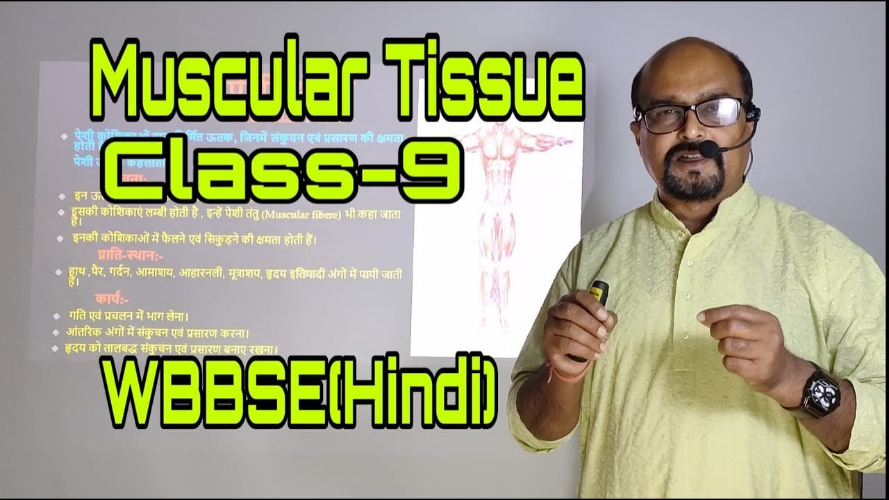 Muscular Tissue Class 9 WBBSE HINDI YouTube muscular-tissue-class-9-wbbse-hindi-youtube