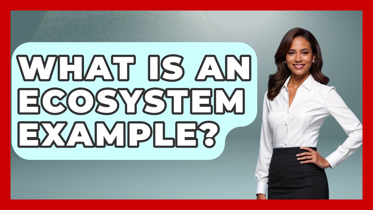 What Is An Ecosystem Example? - Biology For Everyone - YouTube
