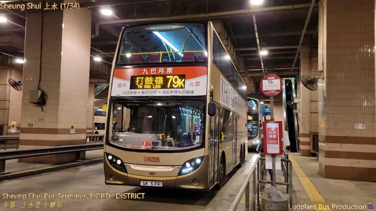 🇭🇰Hong Kong Bus KMB 79K ATENU203 @SK5391 Sheung Shui🍆Ta Kwu Ling (Tsung ...