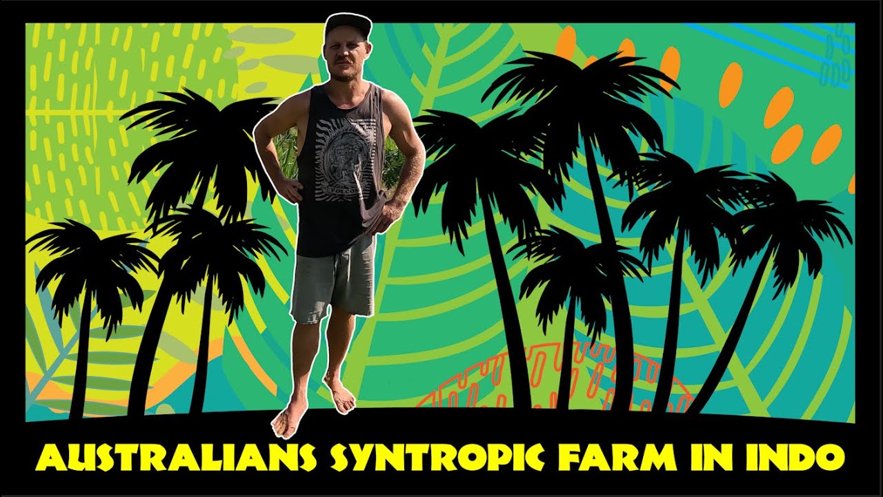 Syntropic - Agroforestry Farm Tour | Naomi's Farm | East Java ...