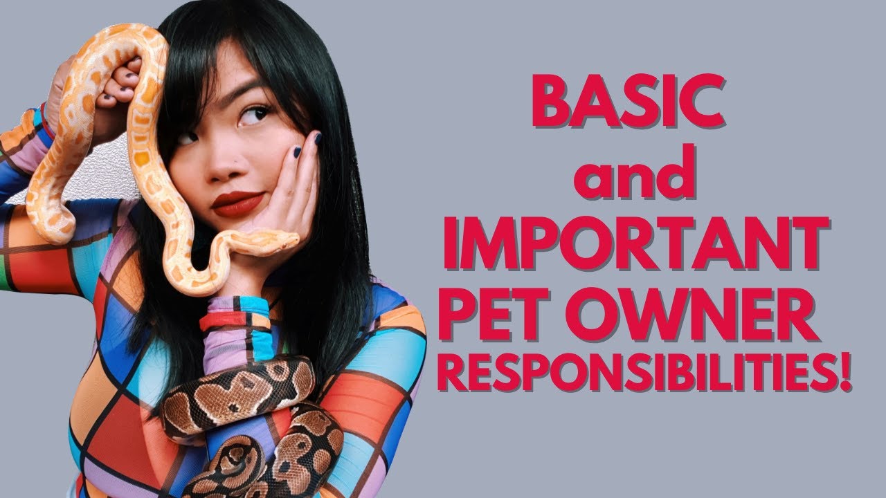 You need these 5 things to be a responsible pet owner! - YouTube