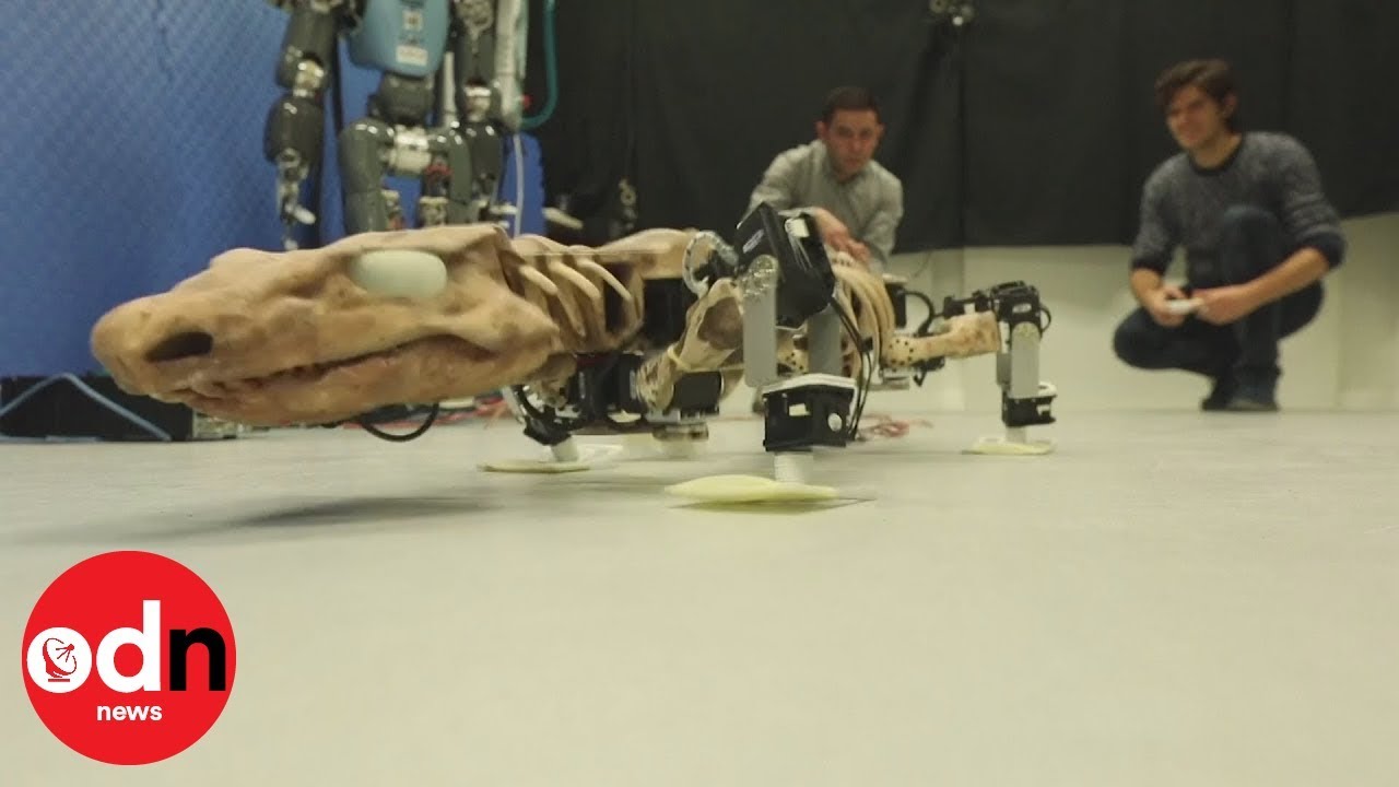 Robot replicates steps of 290-million-year-old creature - YouTube