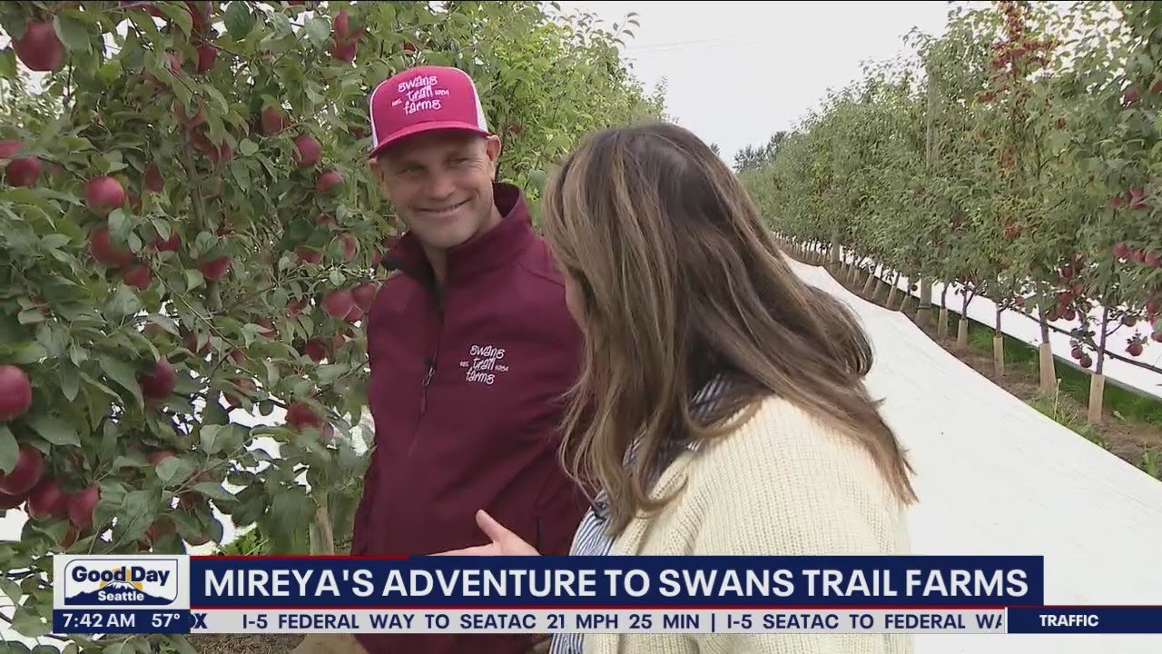 Mireya's adventure to Swans Trail Farms | FOX 13 Seattle - YouTube
