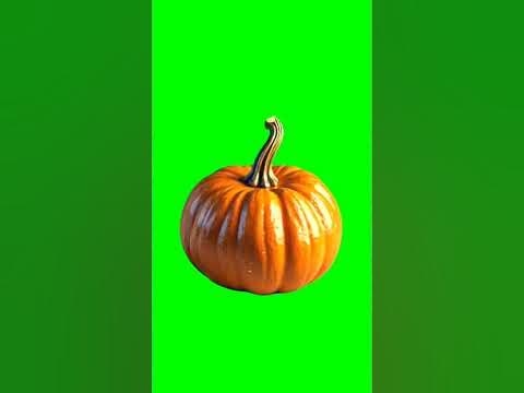 Pumpkin Green screen Animation HD - YouTube