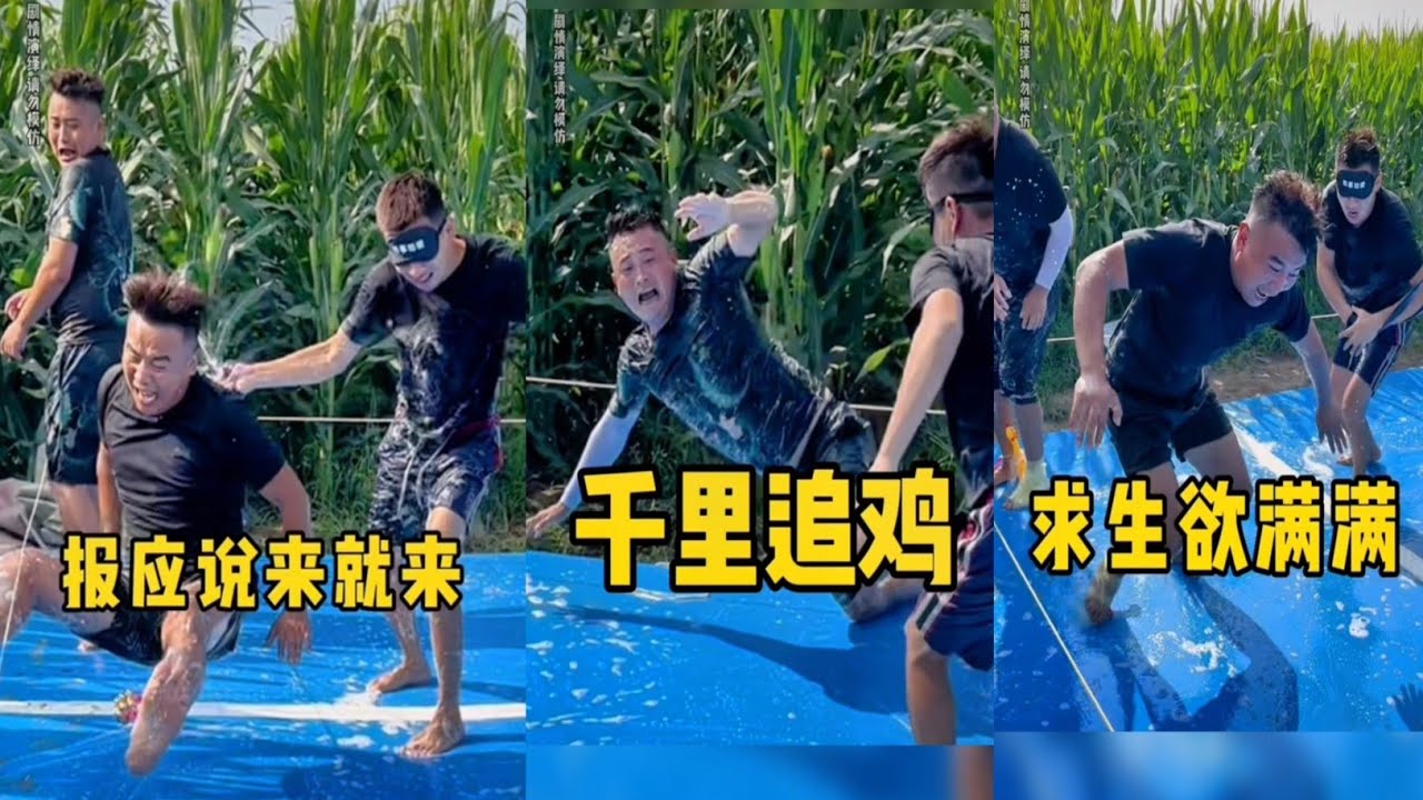 Screaming Chicken Blindfolded Game Arab ||Blind Fold Chicken Game ...