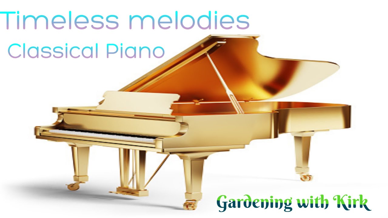 Timeless Melodies | Classical Piano | Relaxing Background Music - YouTube