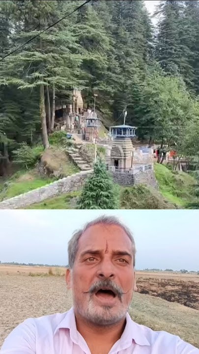 #TIMELAPSE: START to FINISH Alone BUILD LOG Cabin (Wooden House), How ...