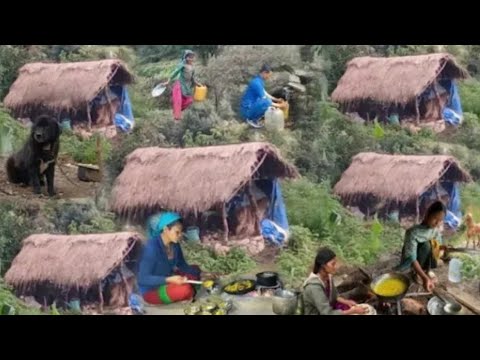 The Best lifestyle In Himilayns Village During Rainy Days ll All Seasons Best Complection videos ll 