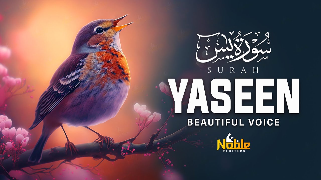 Surah Yaseen (Yasin) سورة يس | Calming Quran Recitation for Heartfelt Peace & Protection by Alaa ...