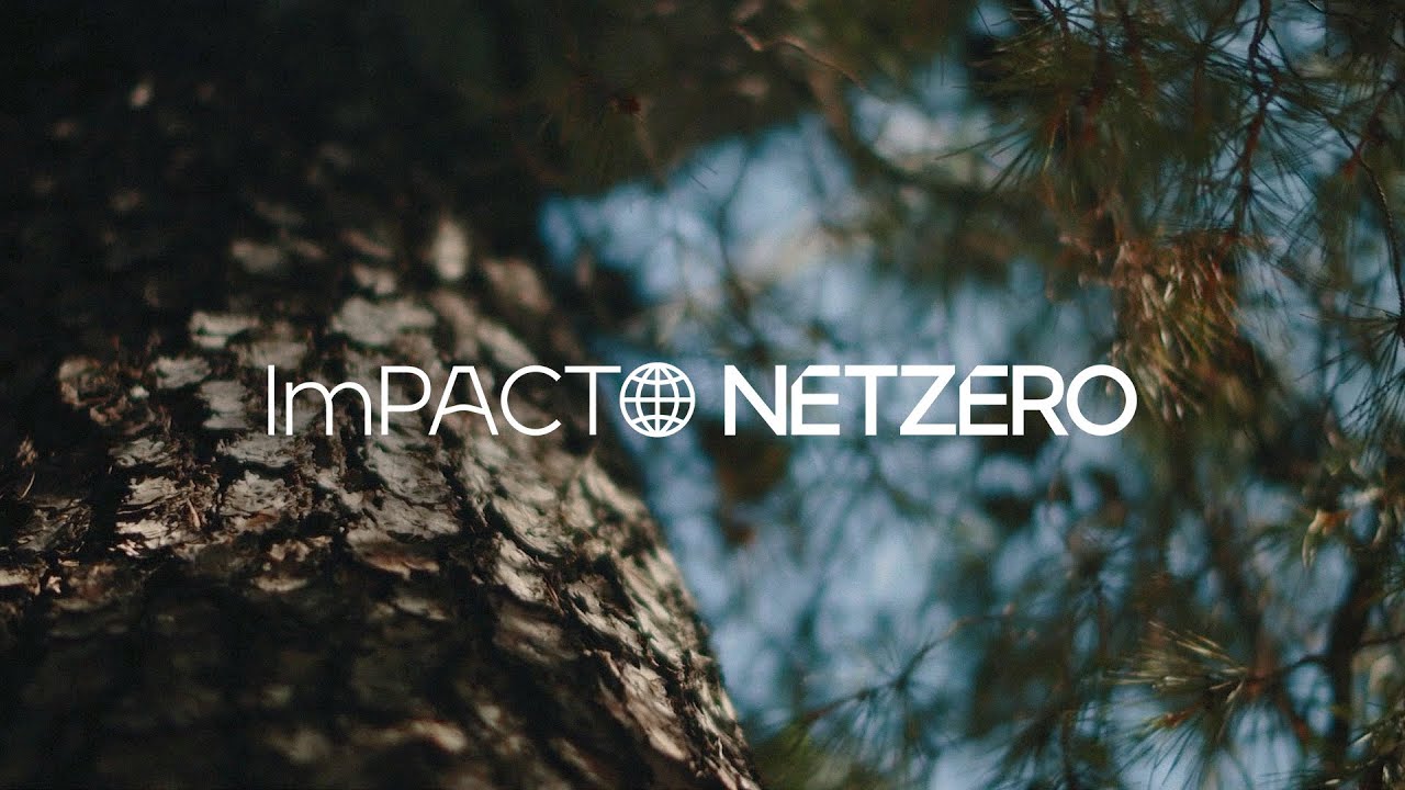 ImPacto NetZero - YouTube