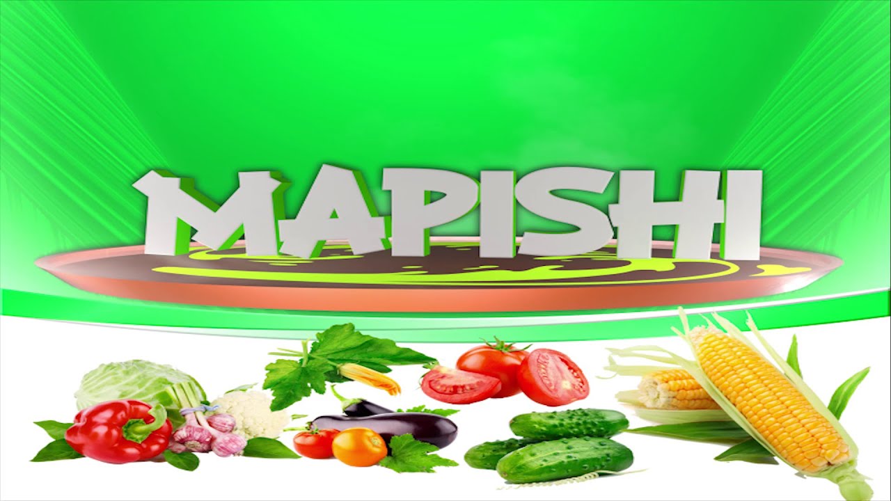 #MAPISHI: T BONE STEAK, 14 JULY, 2024. - YouTube