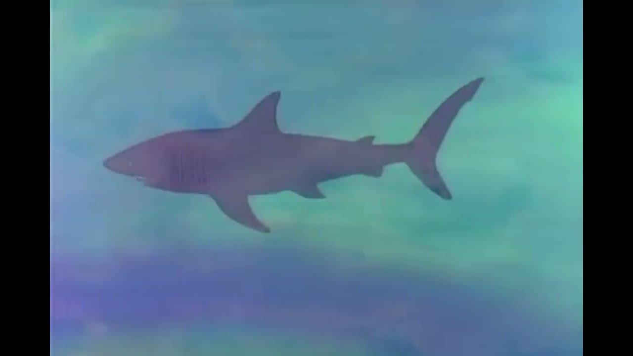 Commotion - The Ocean of Motion - YouTube