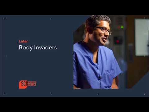 Science Channel - Schedule - YouTube