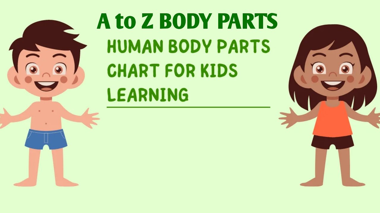 A To Z Body Parts YouTube A To Z Body Parts YouTube