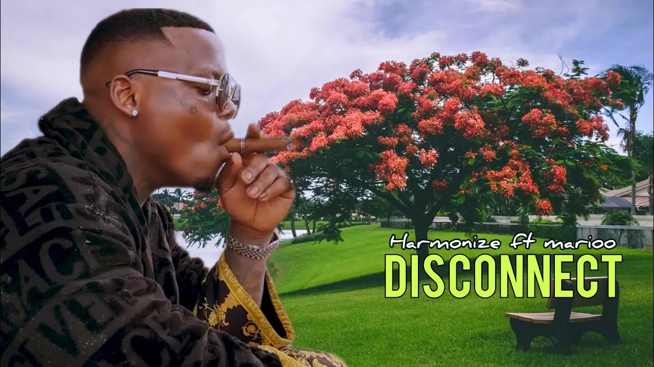 harmonize ft marioo disconnect (official music video) - YouTube