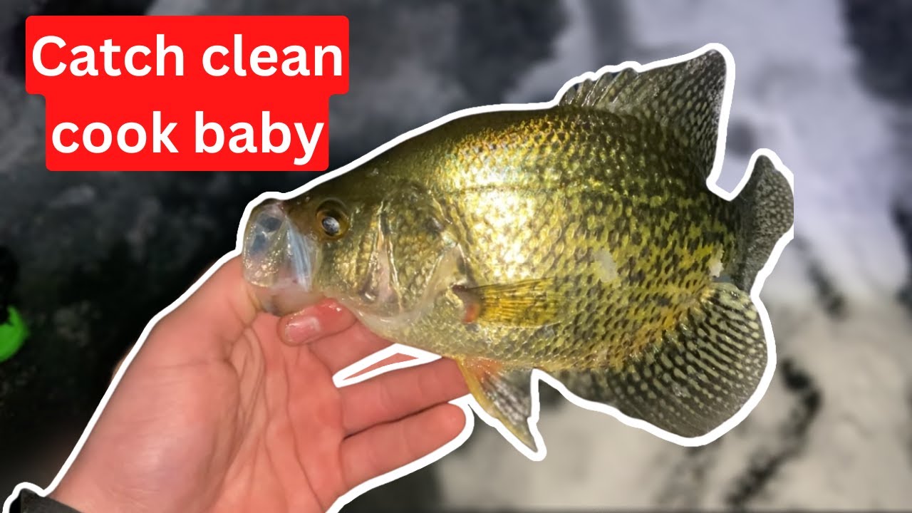 Ice fishing Catch clean and cook for crappie and blue gill - YouTube