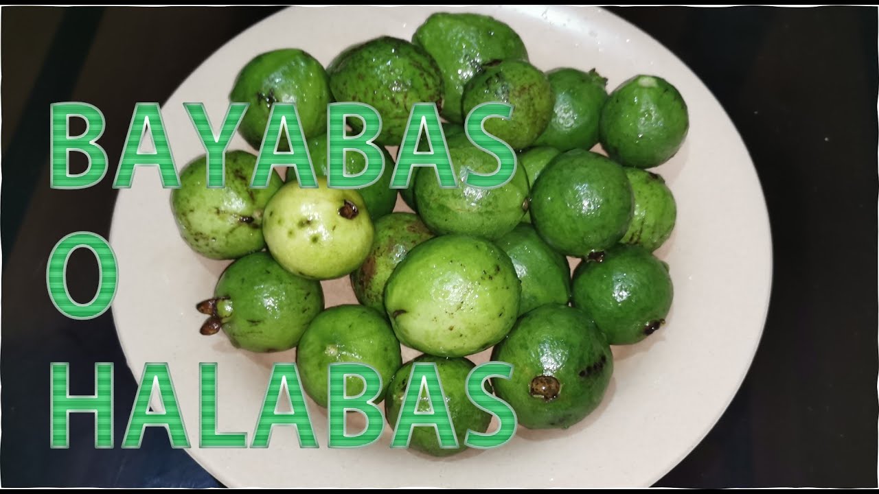 BAYABAS O HALABAS - YouTube