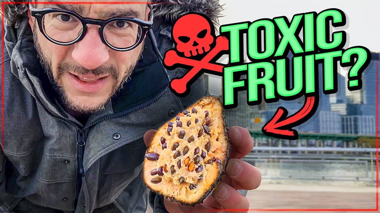 The most DISGUSTING fruit on earth! | Viva Frei - YouTube