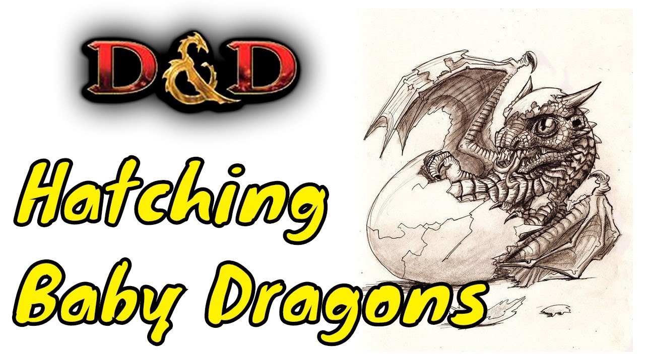 Hatching a Baby Dragon: Dungeons & Dragons 5E 🔴LIVE - YouTube