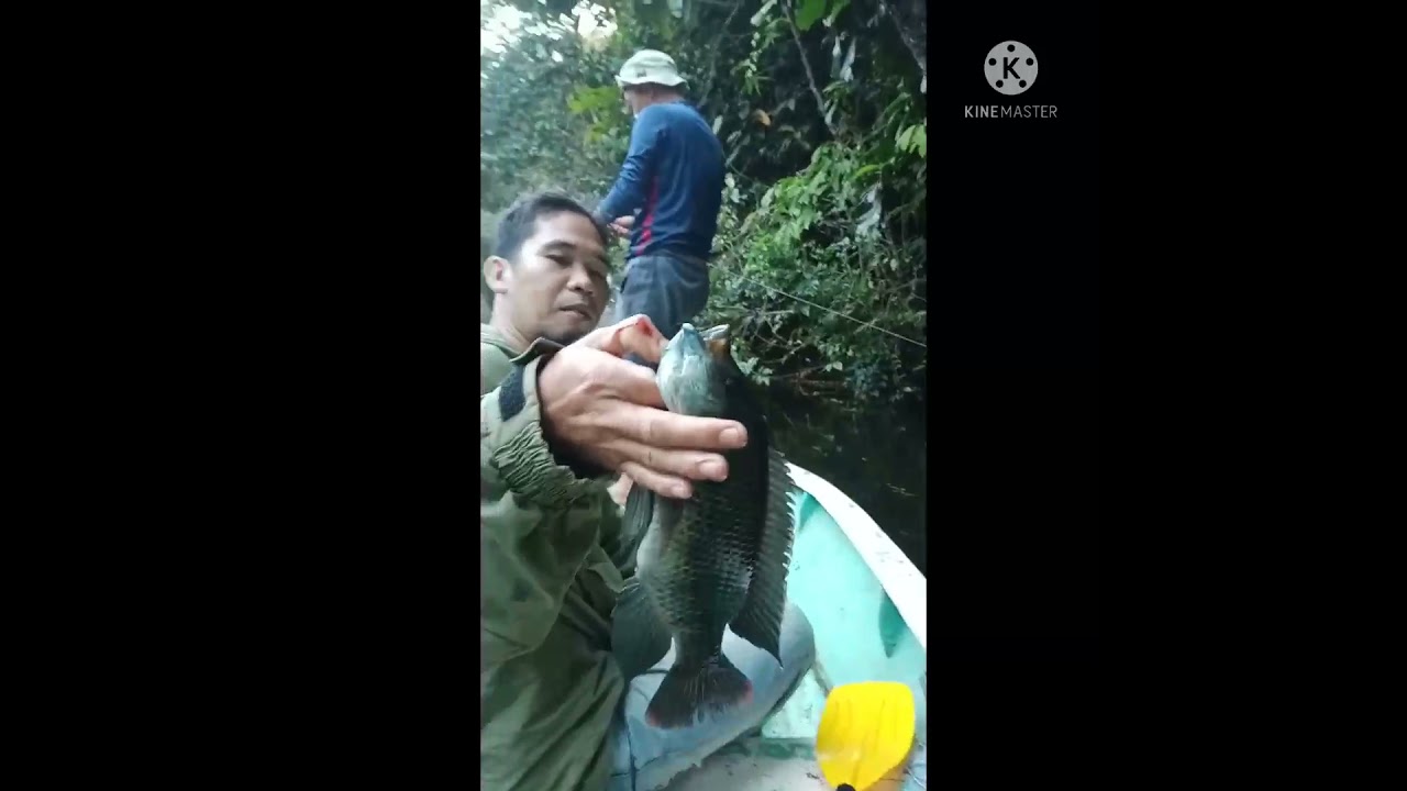 memburu ikan palian LD Sabah!!!! - YouTube