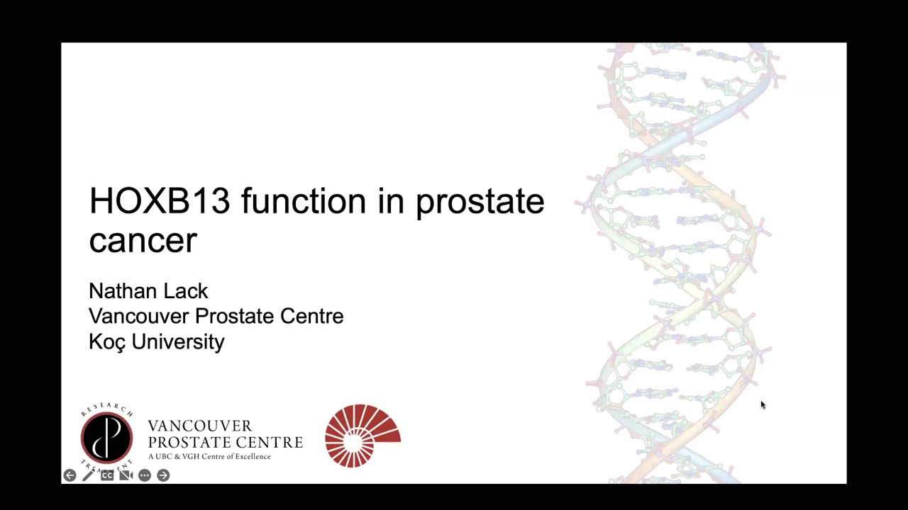 HOXB13 function in prostate cancer - YouTube