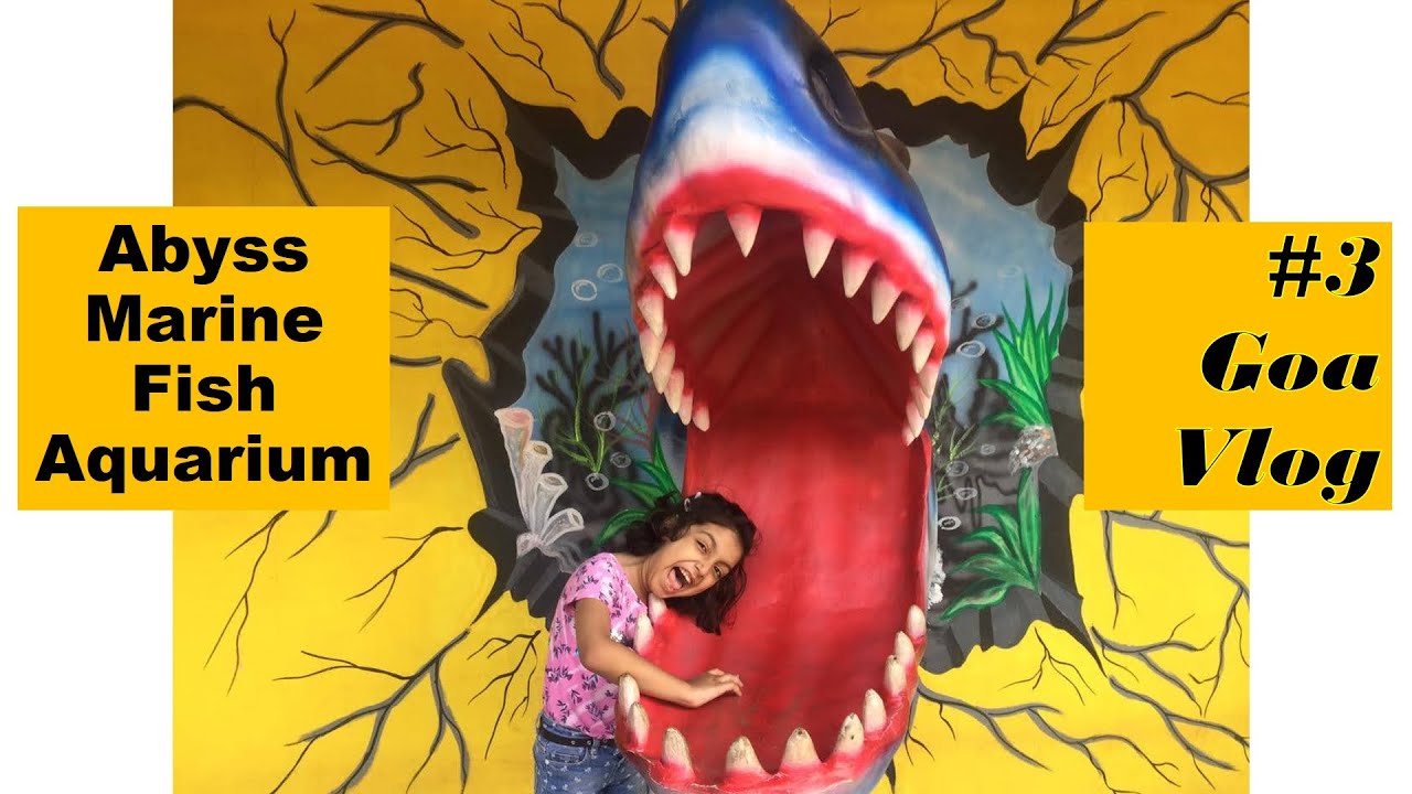 #RidaandFizah #travel #Southgoa GOA VLOG #3 | ABYSS Marine Fish ...