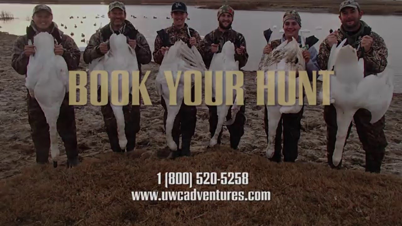 Swan Hunting Guides, UWC Adventures - YouTube